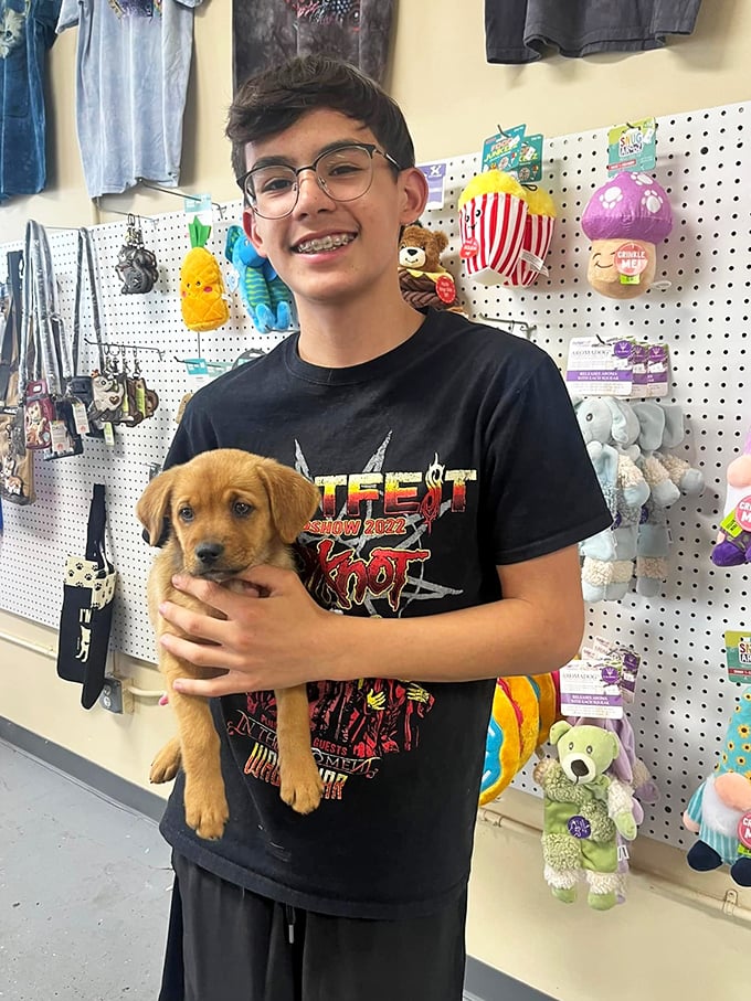 The true heart of Humane Indiana: where puppies find people and shopping supports second chances. This little guy is the ultimate impulse purchase.