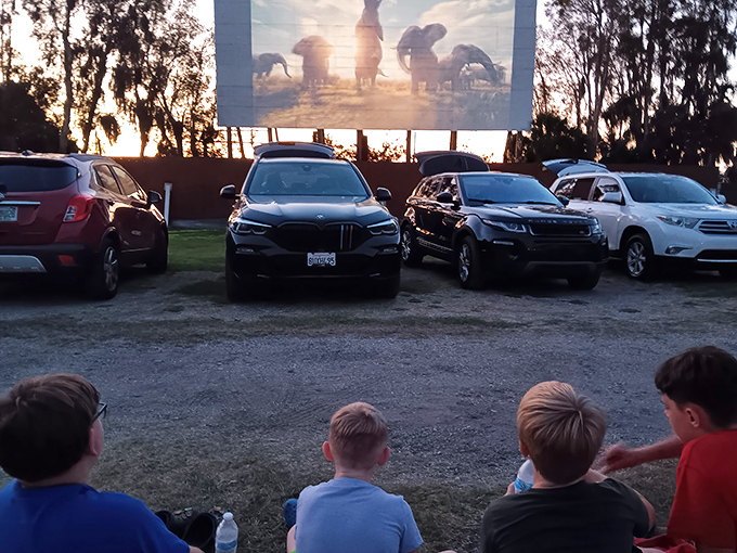 Kids sitting front-row on the grass&mdash;the original floor seating. No reclining theater chairs can match this authentic outdoor movie magic.