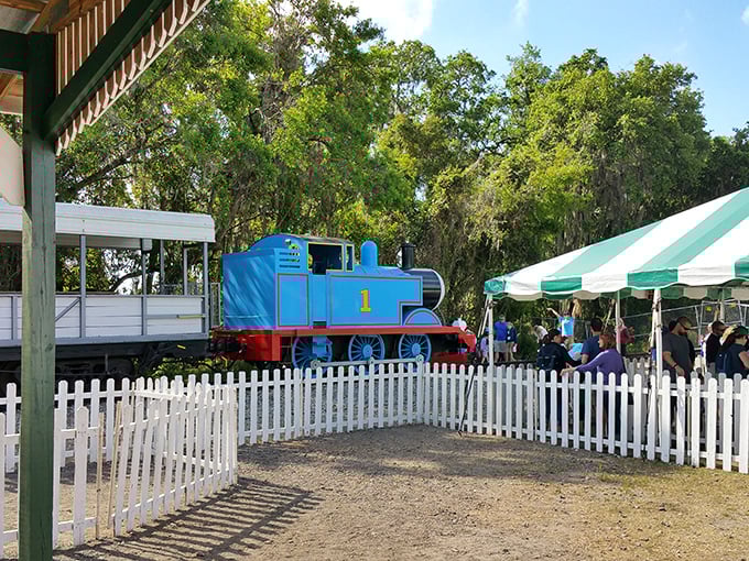 The familiar blue face of everyone's favorite tank engine draws crowds of excited families, where parents often seem more thrilled than their kids.