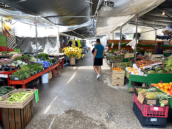 The produce section bursts with vibrant colors that would make any Instagram filter jealous&mdash;proof that not all Florida treasures are antiques.