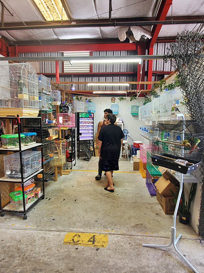 Bird cages and pet supplies line this specialized vendor's stall, proving that even Polly wants a bargain when it comes to her crackers and perches.