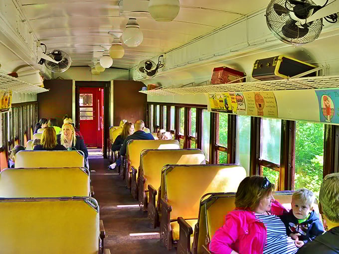 Families enjoy the authentic vintage passenger experience, where large windows frame the passing scenery like moving paintings of the Ohio countryside.