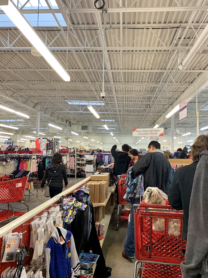 Shoppers navigate the aisles with the focused determination of archaeologists, red carts filled with potential treasures and unexpected finds.