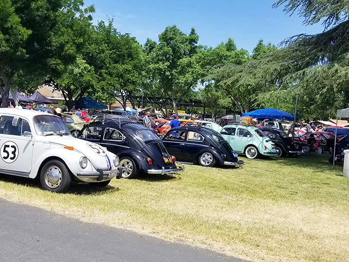 Beetle heaven! These lovingly restored VW bugs aren't just cars&mdash;they're time machines to an era when peace signs and flower power ruled the road.