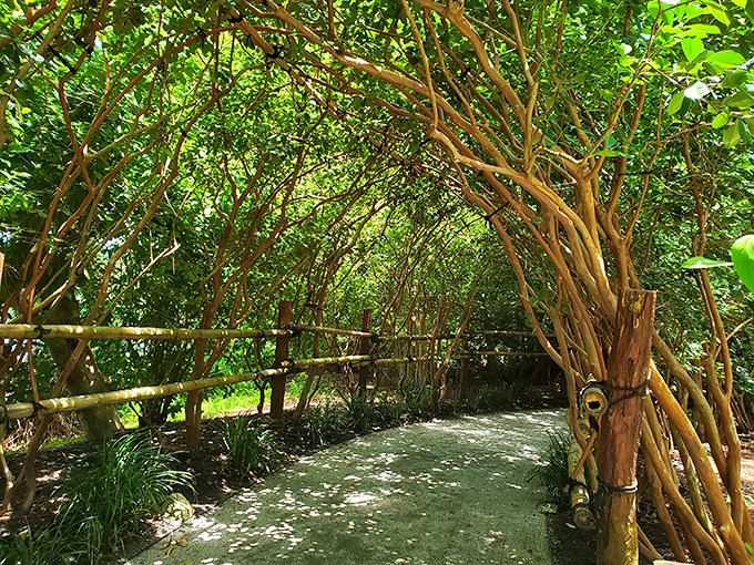 Stone pathways that make you walk slower, think deeper, and appreciate the journey over the destination.