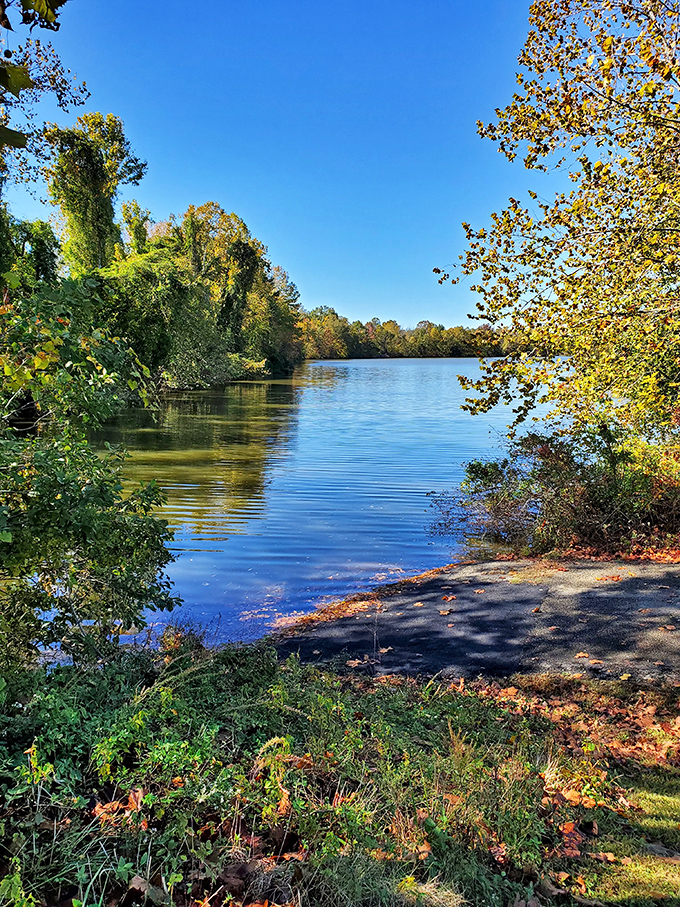 Wilck's Lake shimmers like liquid gold in the autumn light, proving that Mother Nature is still the most talented landscape artist in Virginia.
