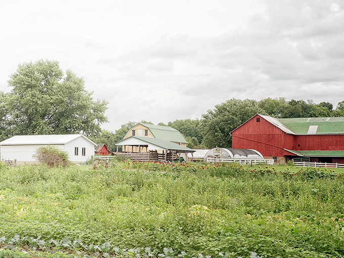 The original farm-to-table wasn't a restaurant concept but an actual farm. Where vegetables don't need Instagram filters to look appealing.