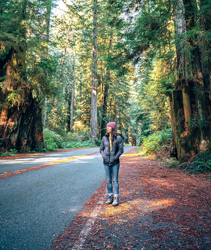 Standing small among the giants puts life in perspective. Some therapy sessions happen in offices, others on scenic parkways.