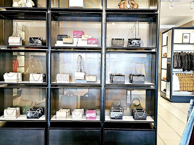 Designer handbags in their natural habitat—behind glass, looking expensive, but secretly wearing outlet price tags. Window shopping that becomes actual shopping.