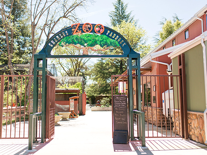 The Charles Paddock Zoo entrance promises wild encounters on a human scale &ndash; no fighting through tourist herds to see the actual herds.