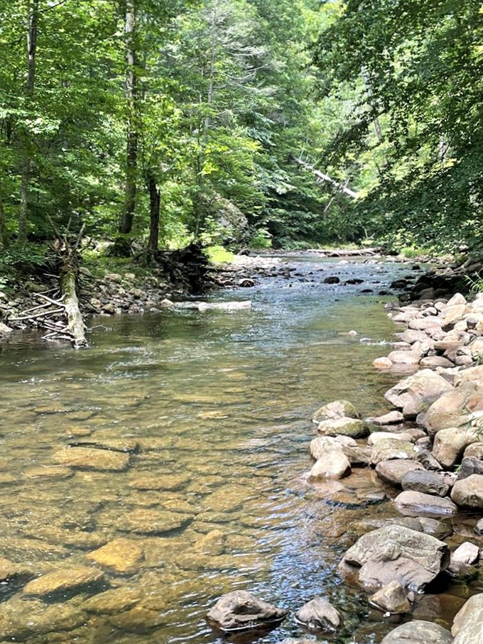 Crystal clear waters dancing over ancient stones. This stream has been performing the same symphony for thousands of years.