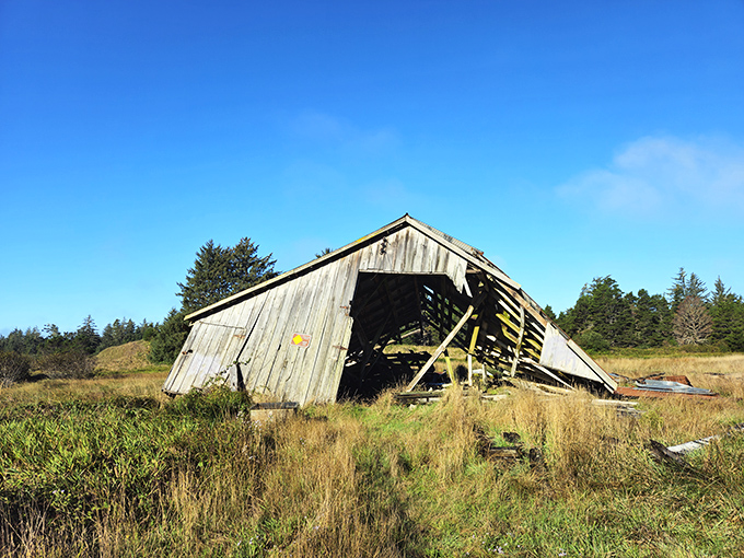 Time and elements have had their way with this weathered structure, now standing as an atmospheric ghost of California's coastal past.