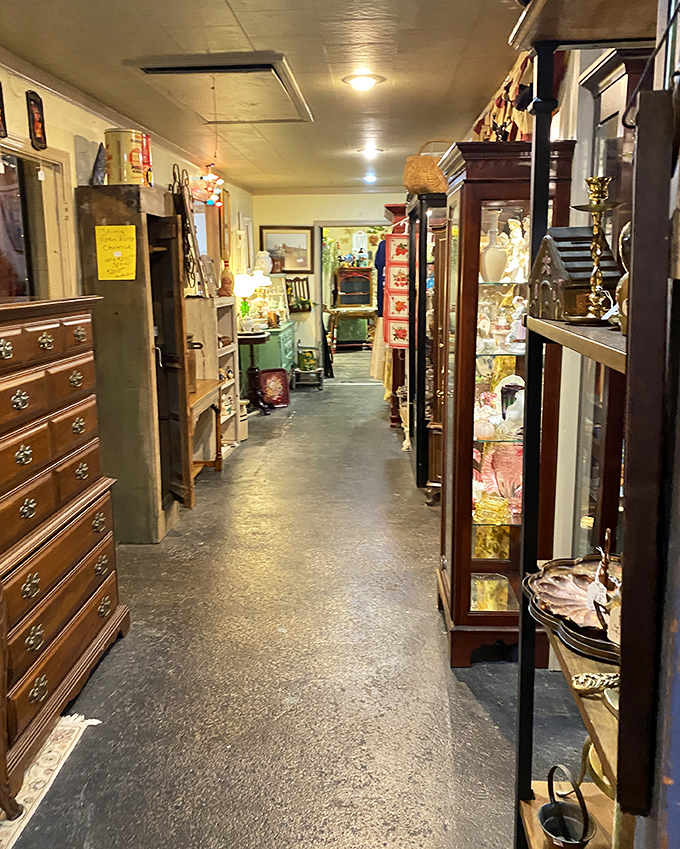 Walking these aisles feels like navigating the physical manifestation of America's collective memory, with treasures waiting around every corner.