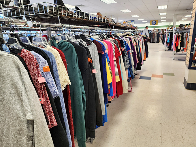 The clothing aisles stretch toward retail infinity, a kaleidoscope of colors and textures where patience rewards the persistent shopper.