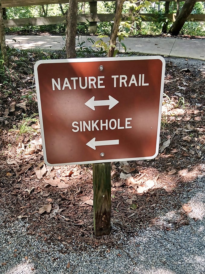 Nature's GPS system—simple, effective, and guaranteed not to reroute you through some sketchy neighborhood or tell you to "make a U-turn" into the sinkhole.