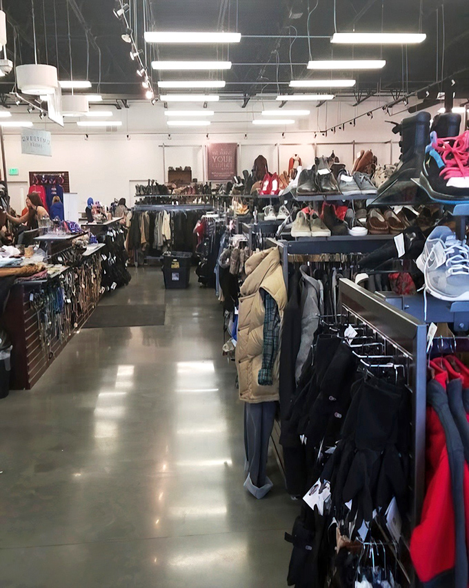 Wide, well-lit aisles that actually let you see what you're buying. A revolutionary concept in the thrift store universe.