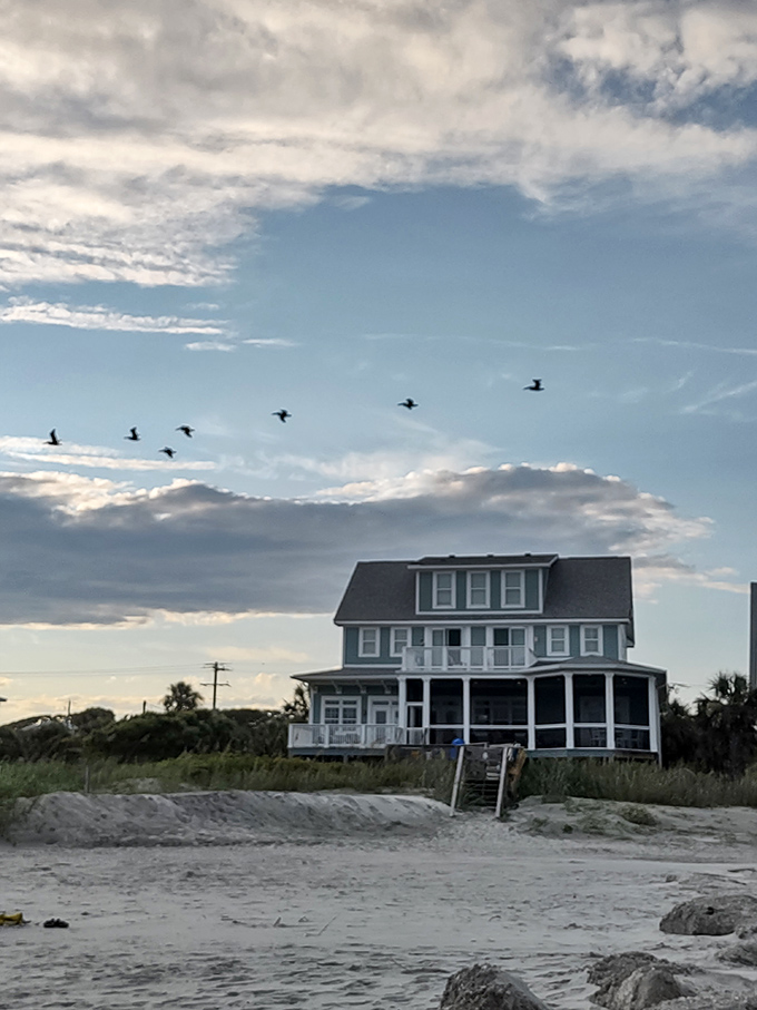 Beach house bliss with a side of pelican formation &ndash; Mother Nature's perfect flyover doesn't require a ticket purchase.