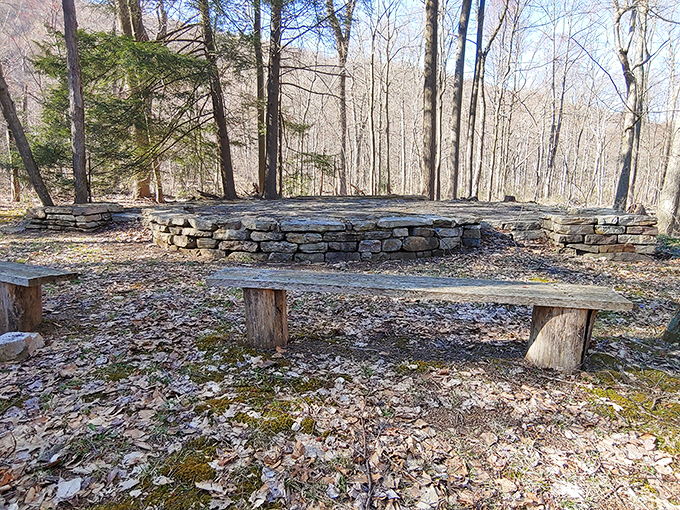 Simple stone and wood create a contemplative spot that beats any high-tech meditation app. Nature's therapy couch comes with a million-dollar view.