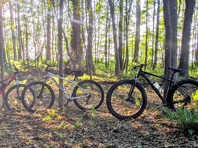 Two-wheeled explorers take a breather. These bikes have earned their rest after conquering Erie Bluffs' scenic trails.