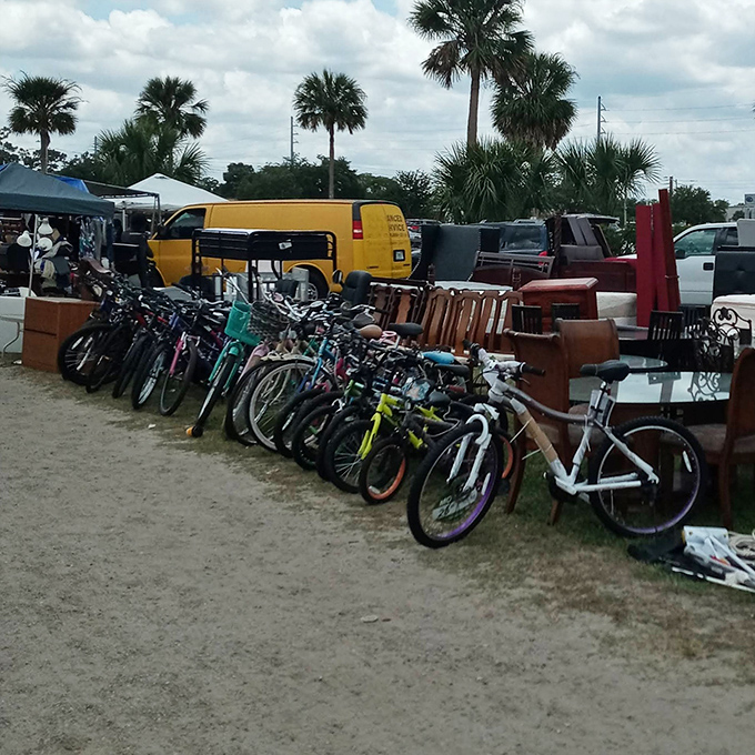 The bicycle graveyard, where two-wheeled chariots await resurrection. Somewhere in this lineup is your next beach cruiser adventure.