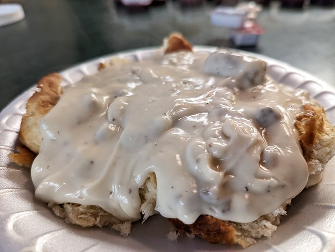 Biscuits swimming in creamy gravy&mdash;the breakfast of champions and the comfort food of kings. Southern hospitality served on a paper plate.