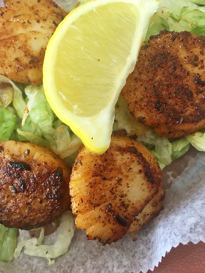 Blackened scallops that taste like they just finished their morning swim in the Gulf waters.