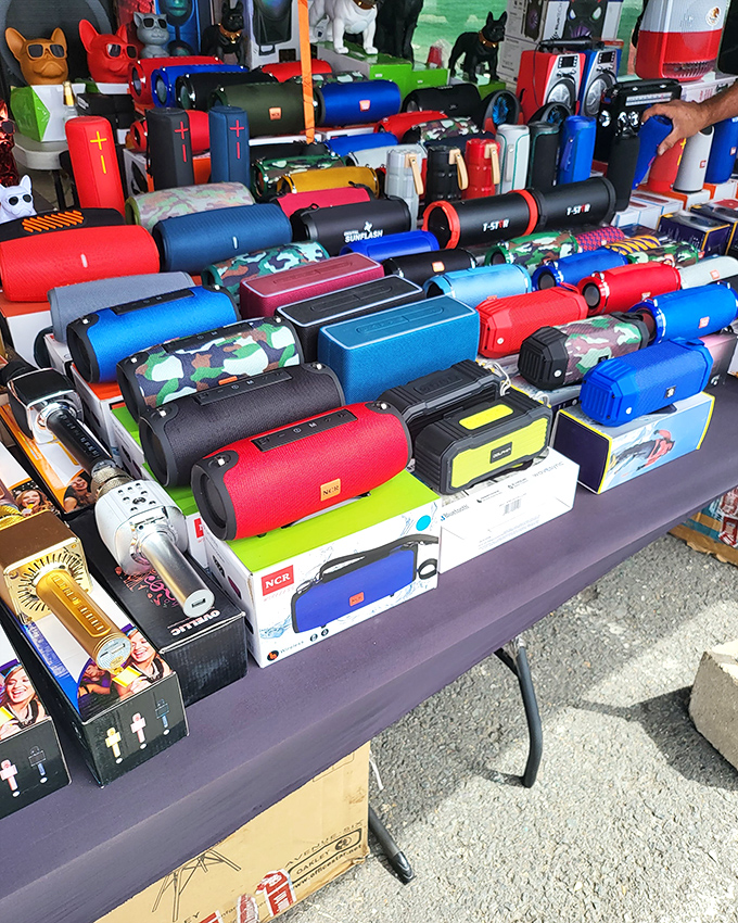 Bluetooth speakers in every color of the rainbow&mdash;because nothing says "I'm cool for my age" like blasting your playlist at the beach.