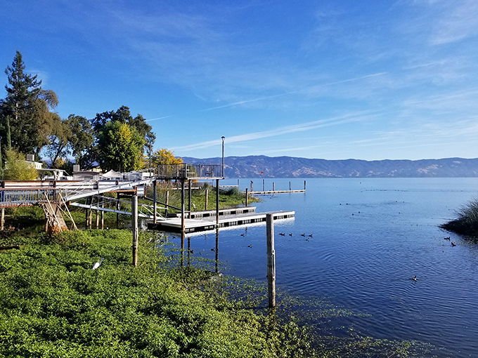 Wooden docks reach into Clear Lake like fingers testing the water, inviting boats and daydreamers alike.
