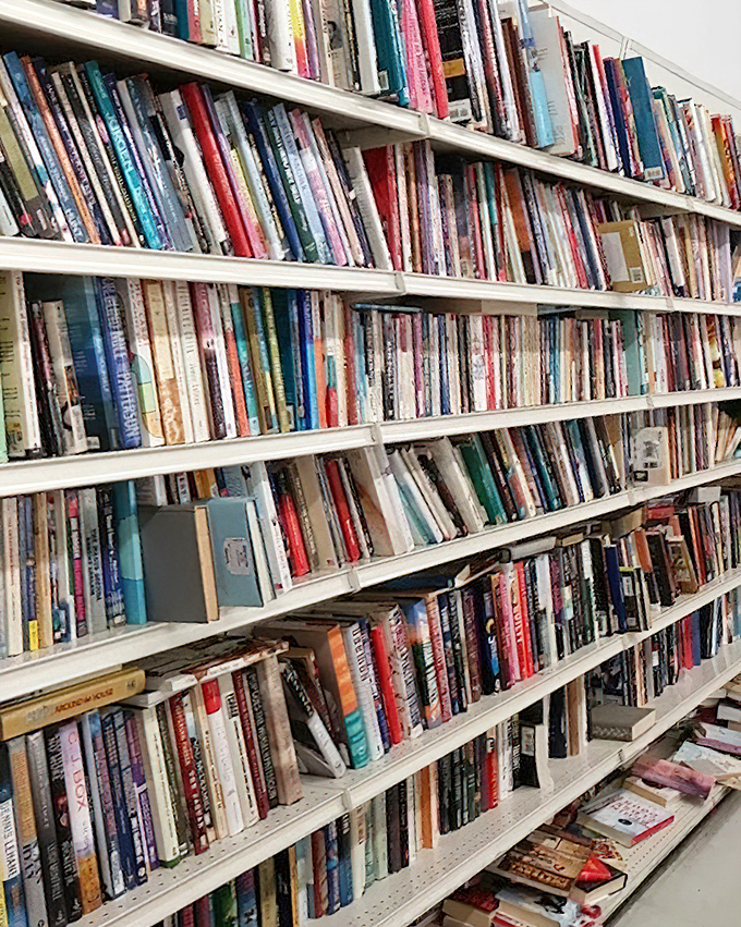 A bibliophile's dream come true! These shelves hold everything from forgotten bestsellers to rare gems, each book waiting to transport you somewhere new for less than a latte.