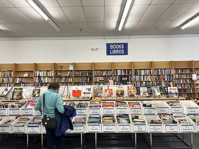 The book section rivals small libraries. Browse organized shelves where paperbacks cost less than the coffee you'll drink while reading them.