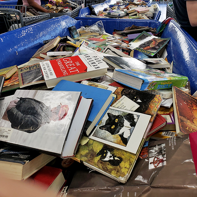 Literary gold mines overflow with forgotten classics and hidden gems. That cat book might contain the wisdom of the ages&mdash;or at least some adorable feline photos.