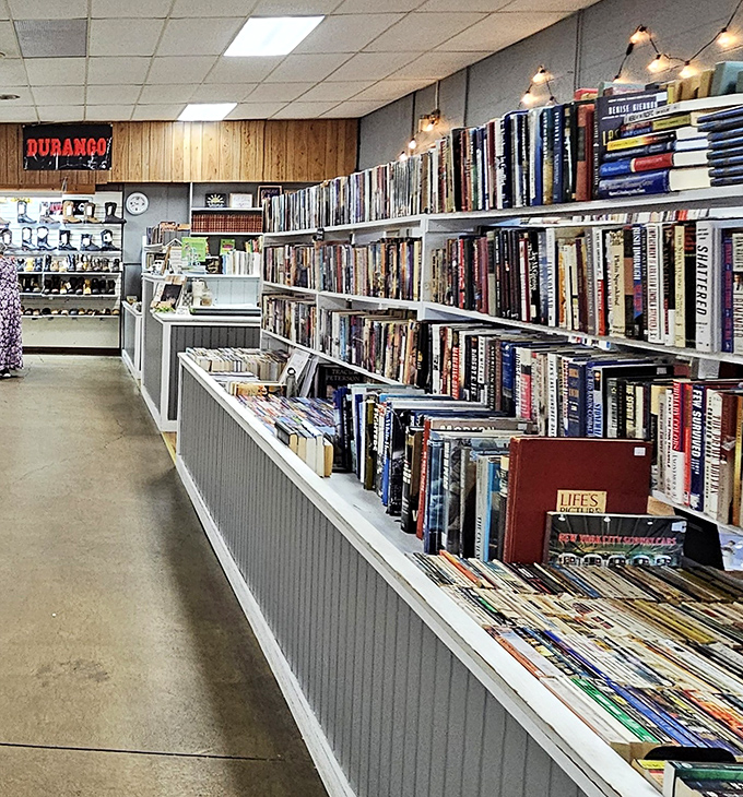 A bibliophile's dream where time stands still. Come for a cookbook, leave with a mystery novel and three biographies you didn't know you needed.