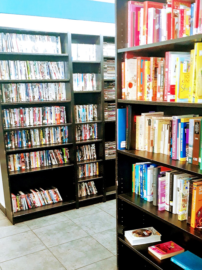 The literary corner: where dog-eared paperbacks and forgotten DVDs create a time capsule of entertainment history waiting to be rediscovered.