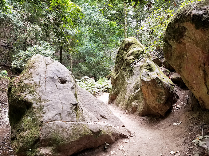 Nature's obstacle course doubles as sculpture garden. These massive sandstone formations look like they were arranged by a giant playing Tetris.