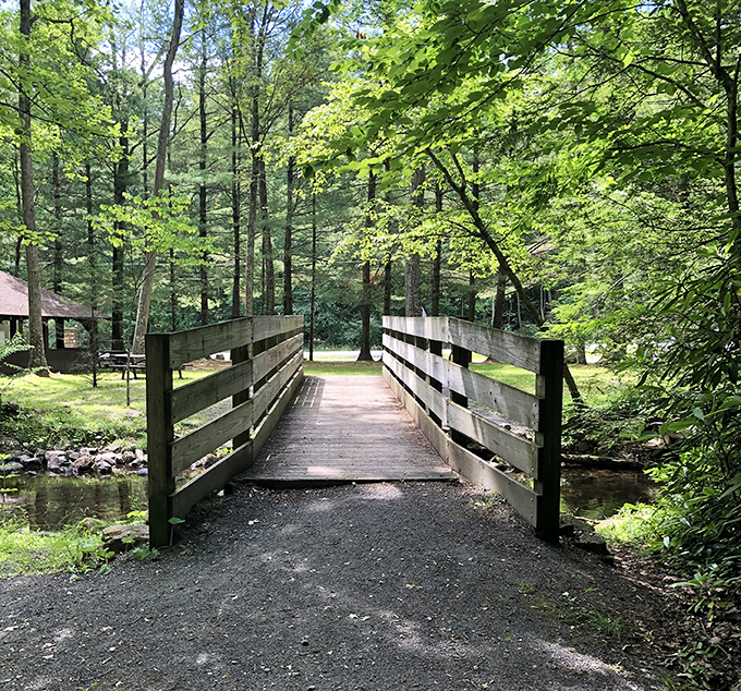 This wooden bridge doesn't just connect two pieces of land &ndash; it bridges the gap between our hurried lives and the peaceful rhythm of the forest.