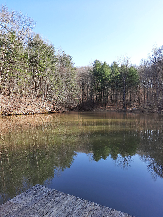 Mirror, mirror in the woods, what's the fairest view around? This glassy pond reflects the surrounding forest with such clarity you might mistake it for a painter's masterpiece.