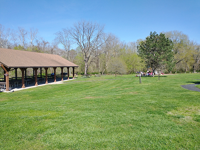 Early spring at the park pavilion&mdash;where "roughing it" means forgetting to bring the good napkins. Civilization meets wilderness in perfect harmony.