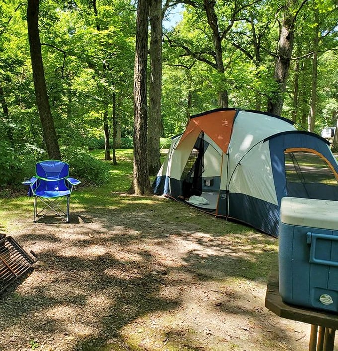 Camping as it should be&mdash;where your morning coffee comes with a side of birdsong and your evening s'mores taste better under ancient oaks.