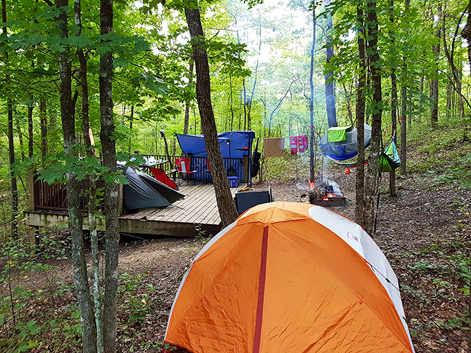 Camping among the trees &ndash; where the lullaby of distant rushing water replaces your usual nighttime podcast playlist.