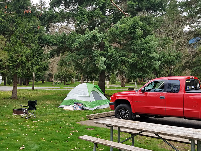 Tent camping 101: Find flat ground, add pickup truck, sprinkle with evergreens, and voil&agrave;&mdash;you've got yourself an Instagram-worthy outdoor bedroom.