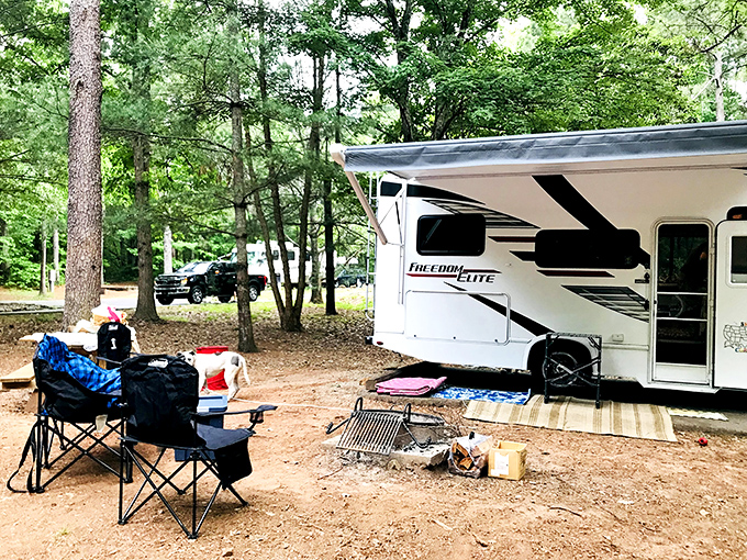 Glamping or camping? Either way, these shaded sites offer front-row seats to nature's nightly performance without sacrificing too many creature comforts.