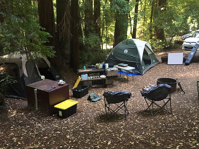 Camping among redwoods: where you'll sleep better under canvas than in your expensive memory foam bed back home.