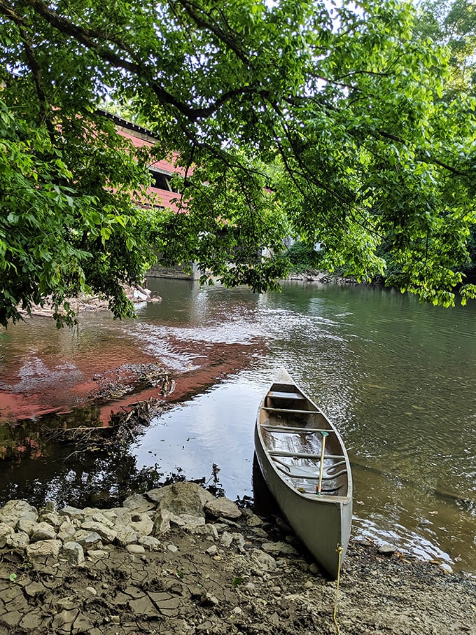Nothing says "authentic Brandywine Valley experience" like paddling beneath this historic landmark in a canoe that's seen its fair share of adventures.