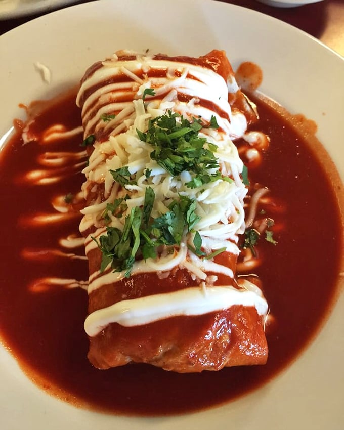 Not all burritos wear capes, but this saucy specimen definitely qualifies as a superhero of satisfaction. Red sauce that dreams are made of.