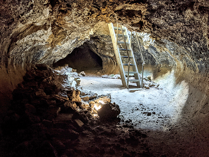 Underground adventures await in lava tube caves &ndash; nature's original subway system, minus the mysterious puddles and questionable smells.