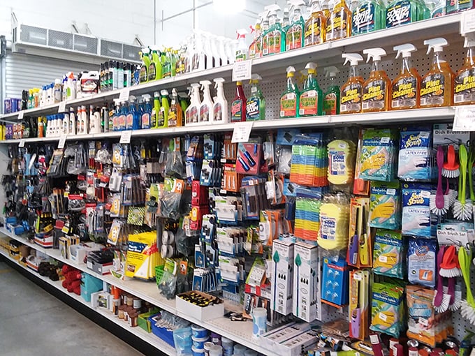 Cleaning supply heaven or evidence that someone finally Marie Kondo'd their cabinet? Either way, these household essentials are priced to move!