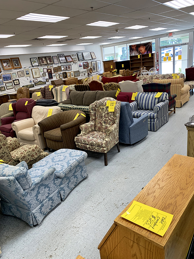 The couch department: where your posterior can test-drive its future throne while your wallet breathes a sigh of relief.