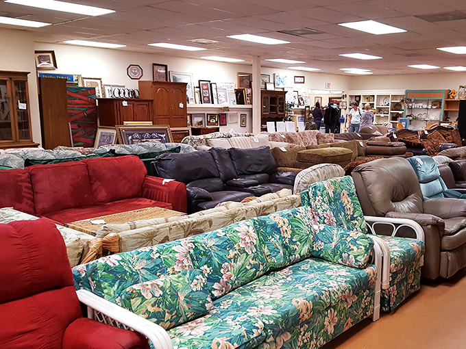 Step right up&mdash;rows of cozy couches stretch like a buffet of comfort waiting to be sampled.