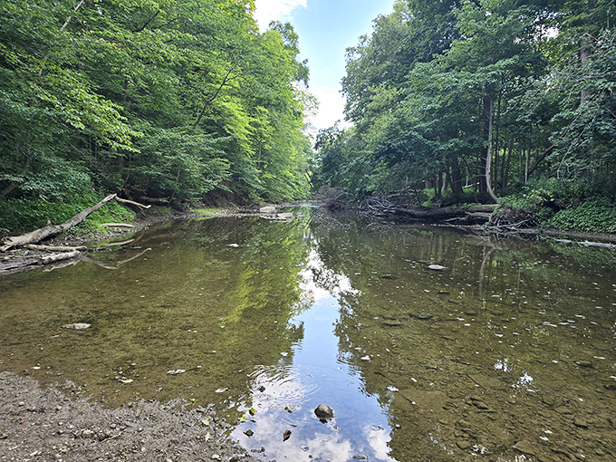 The Sandusky River offers peaceful moments of reflection just minutes from downtown, where nature reclaims its space in this otherwise human landscape.