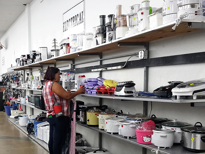 The electrical section, where forgotten kitchen appliances get their second chance. That Hello Kitty rice cooker is someone's future culinary companion.